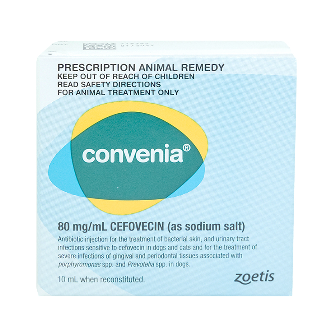Convenia + WFI Injection 10 ml - Lee Guan Chuan Pte Ltd